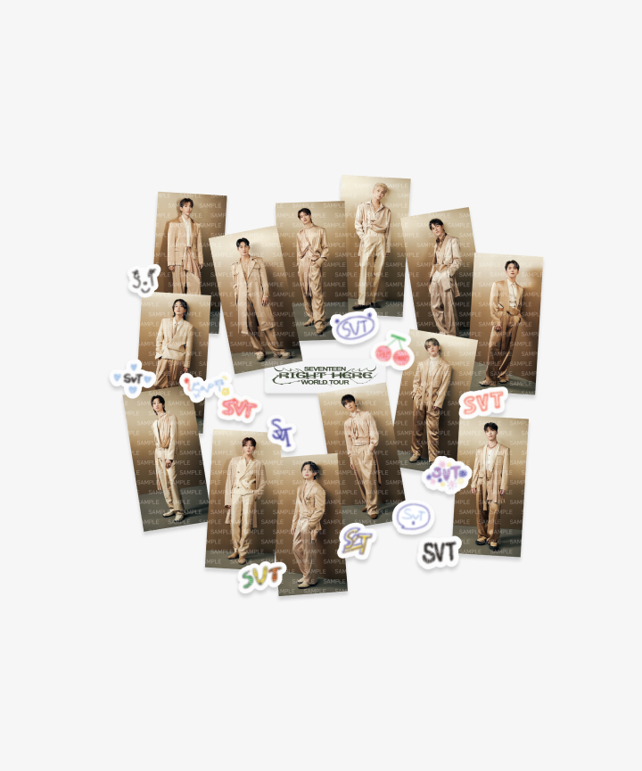 SEVENTEEN | STICKER SET
