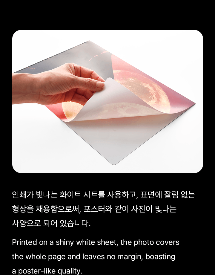 &TEAM | Poster Clear File Set